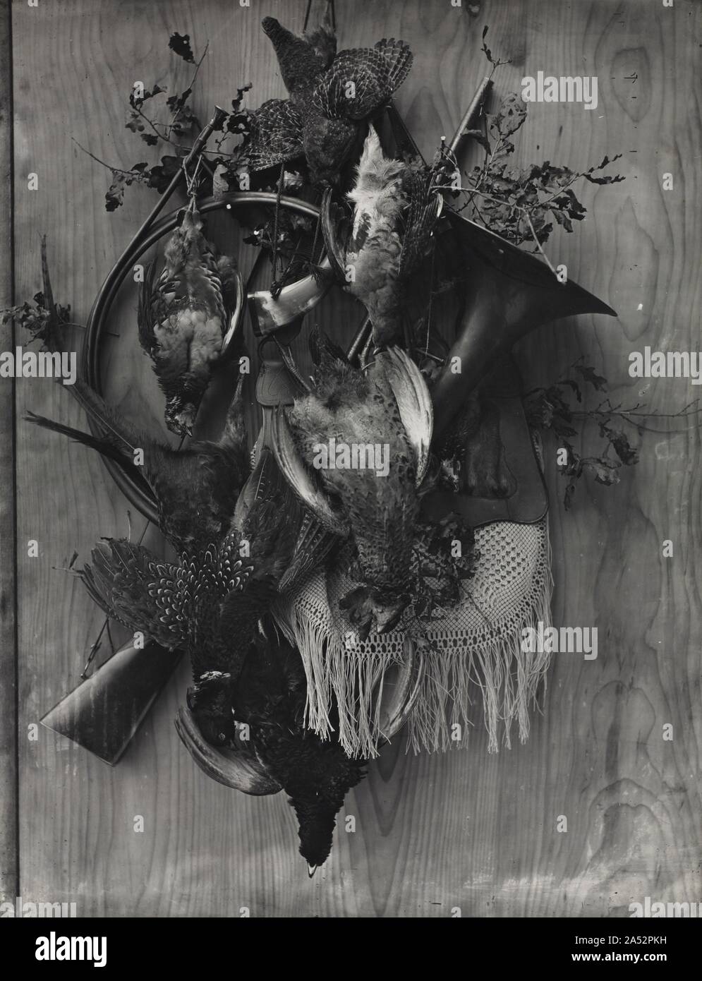 24 inch scale hi-res stock photography and images - Alamy