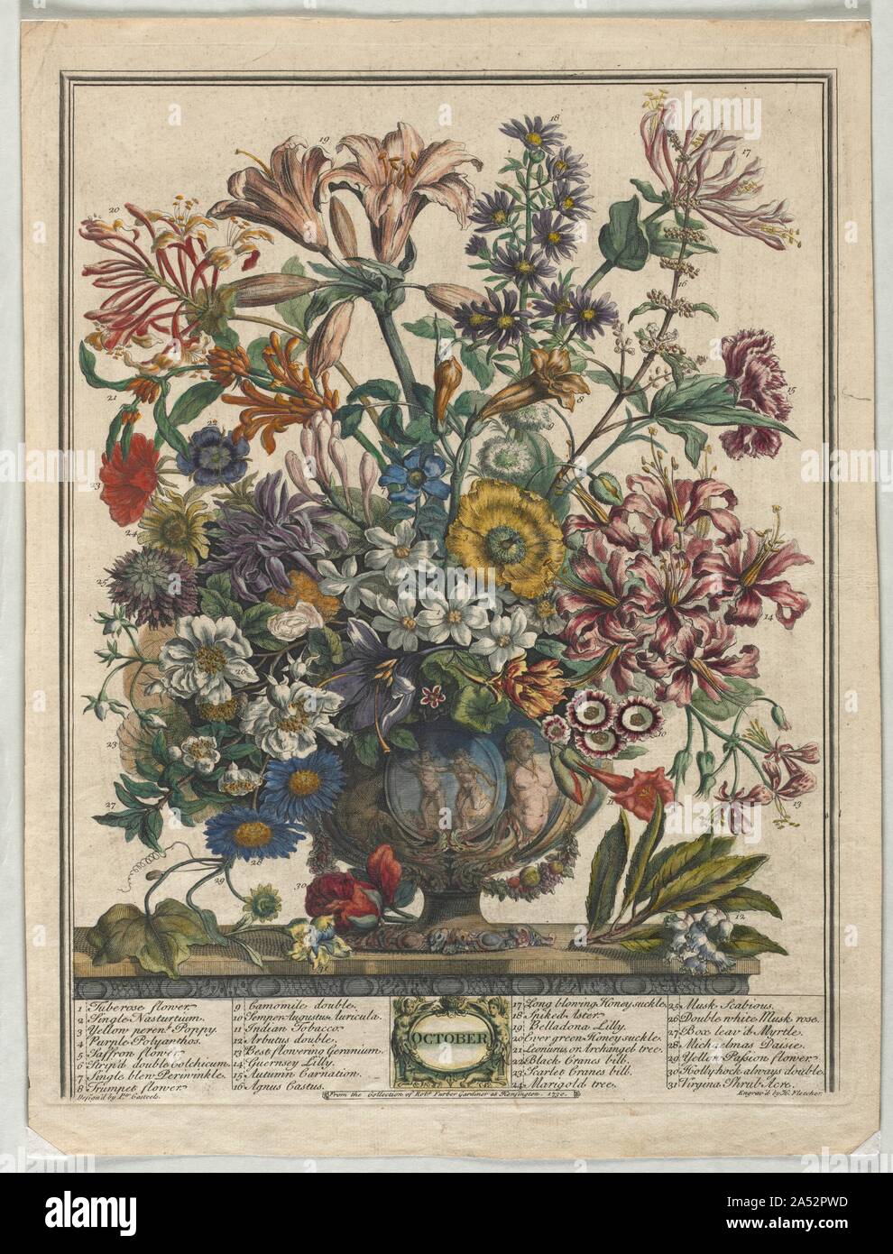Twelve Months of Flowers: October, 1730 Stock Photo - Alamy