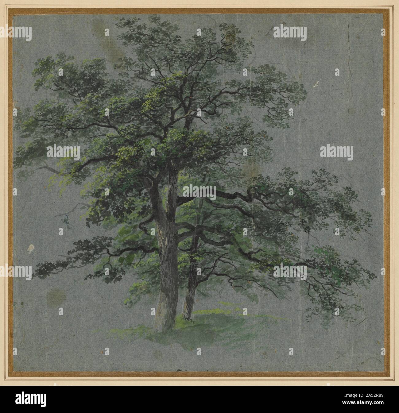 Two Trees, first half 1800s Stock Photo - Alamy