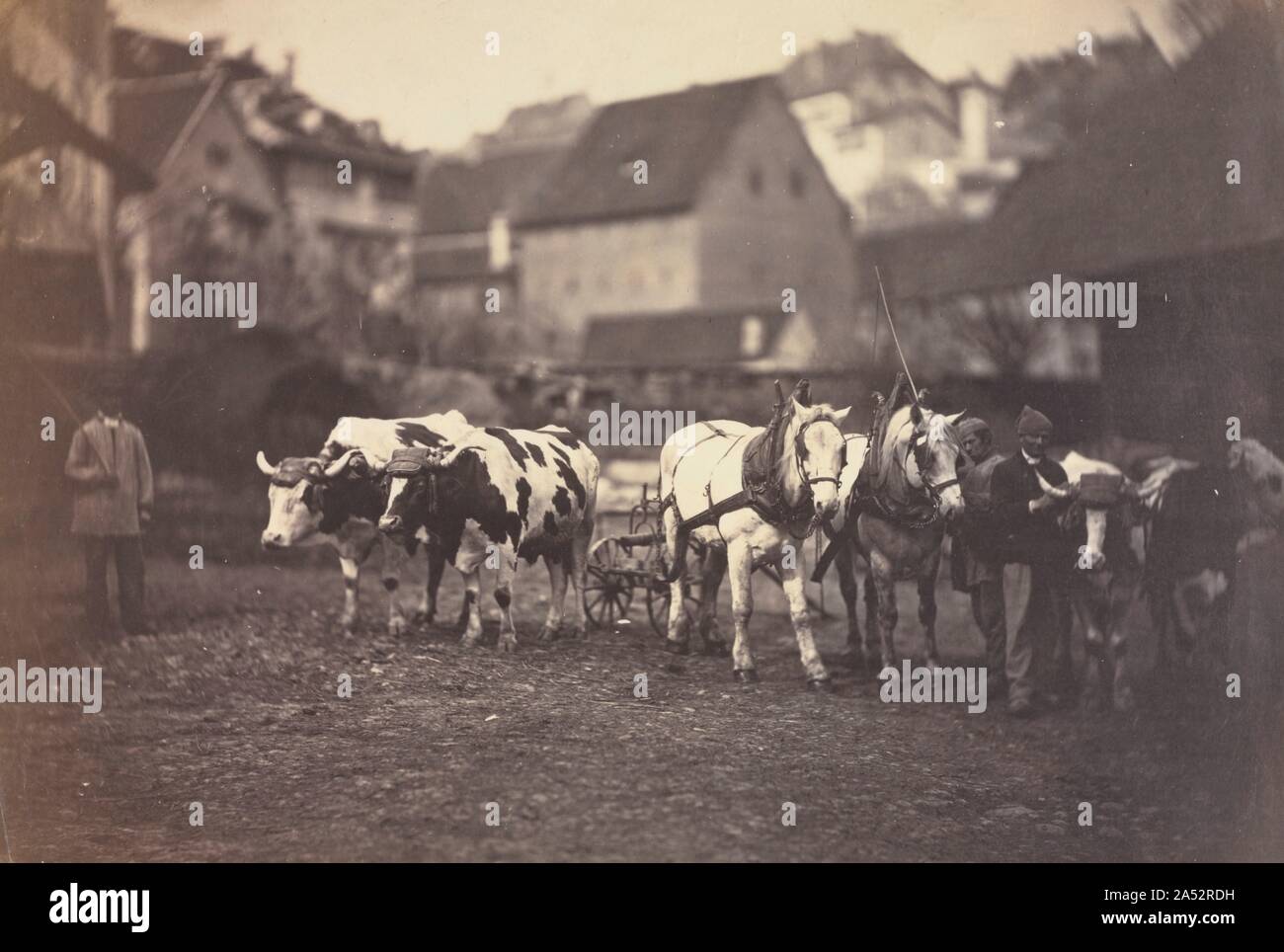 Large scale photographs hi-res stock photography and images - Alamy