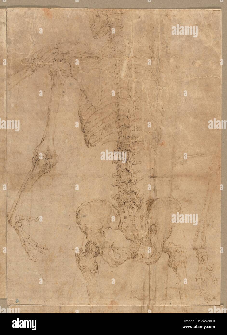 Upper half hi-res stock photography and images - Alamy