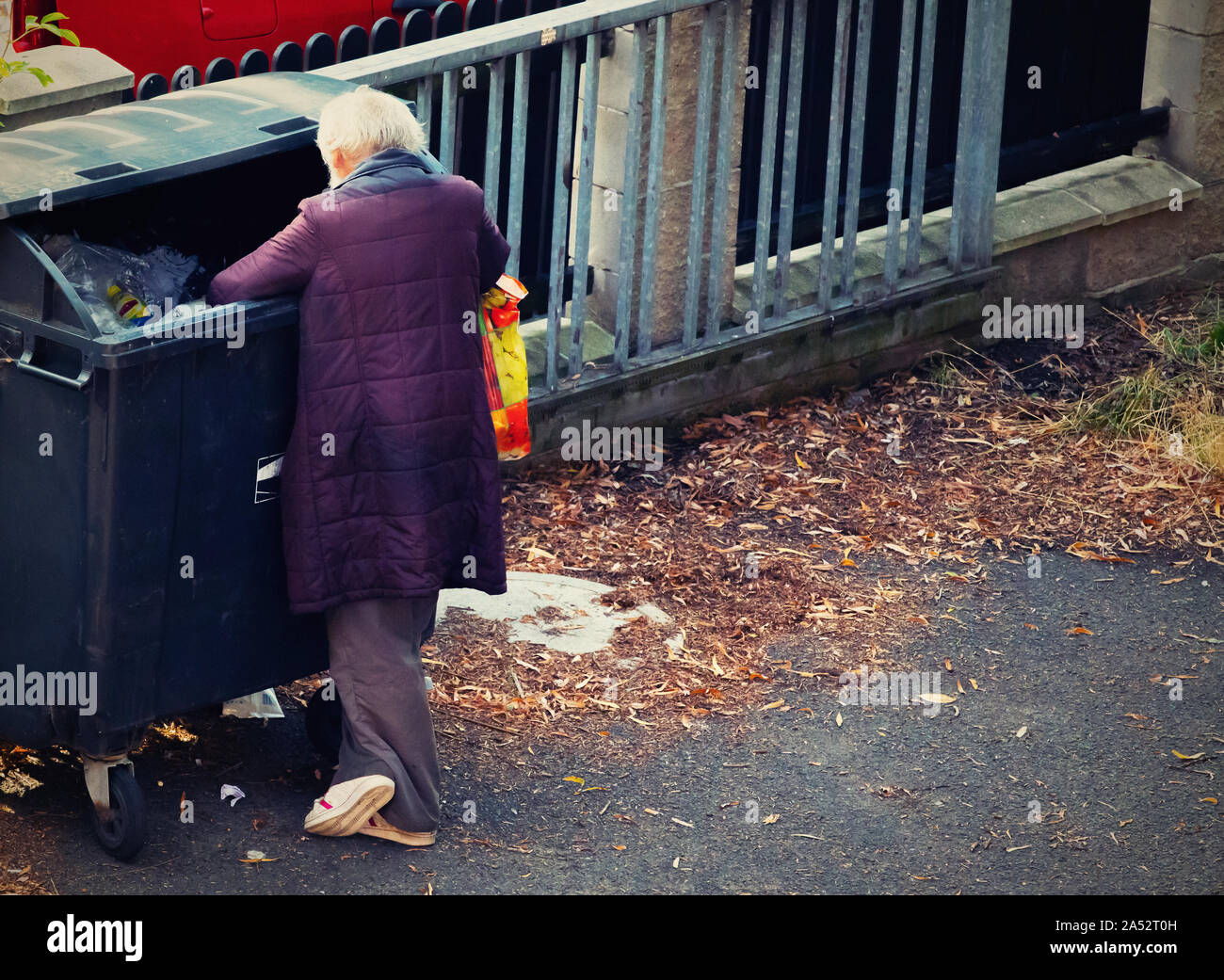 homeless man searching the trash Stock Photo - Alamy