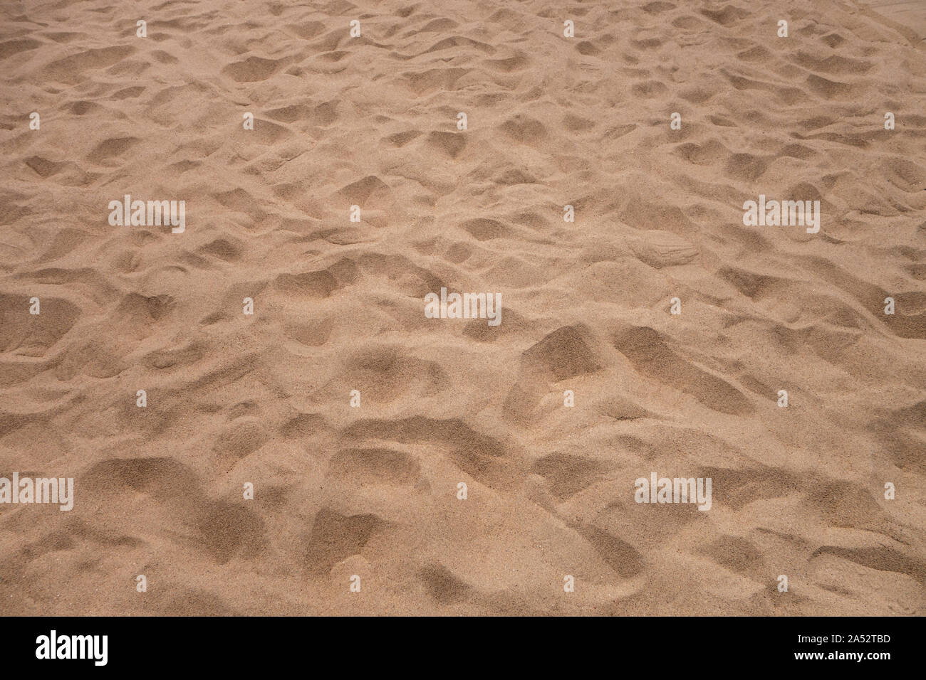 dry beach sand in the summer sun Stock Photo - Alamy