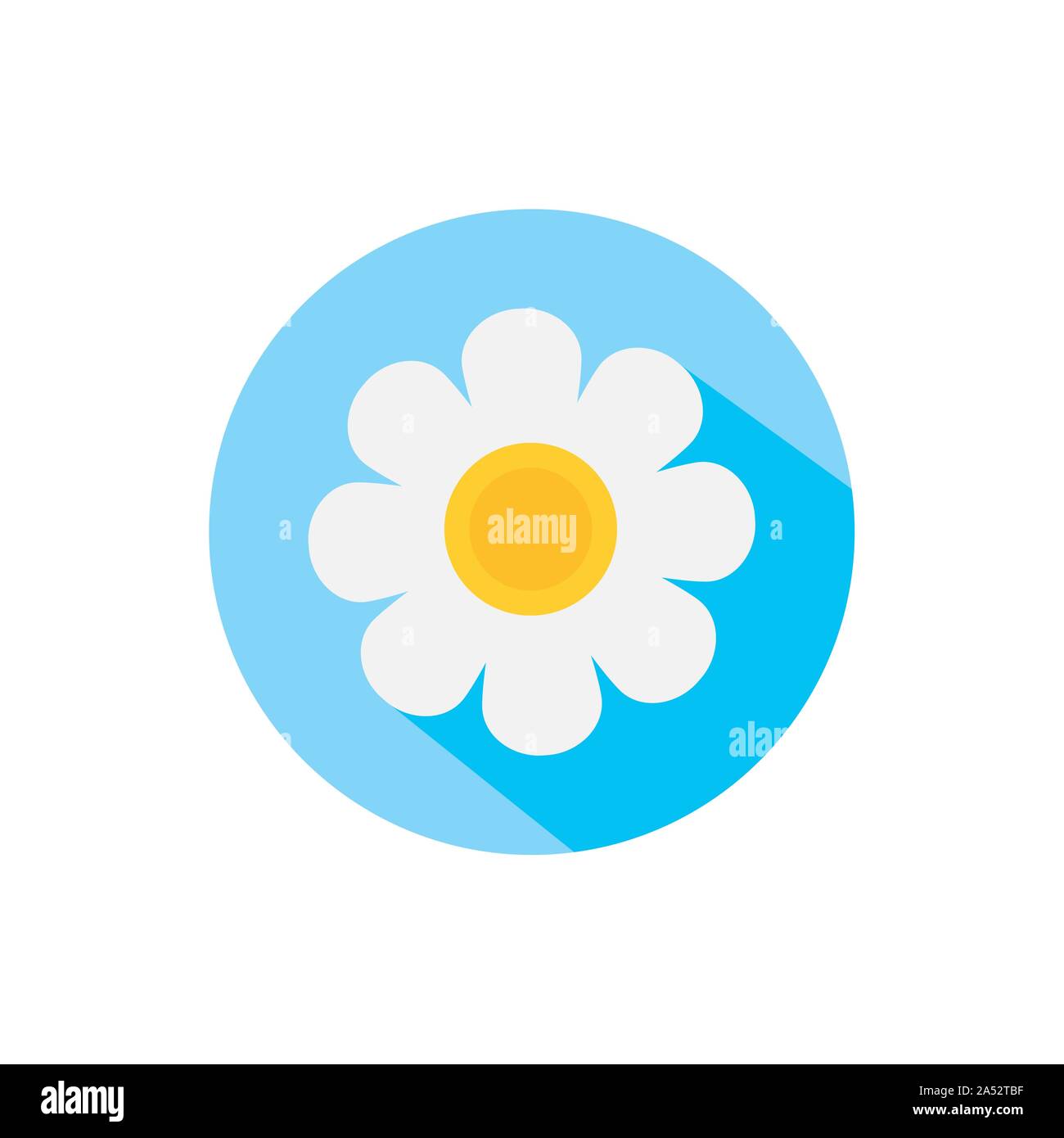 Flower design, floral nature plant ornament garden decoration and ...