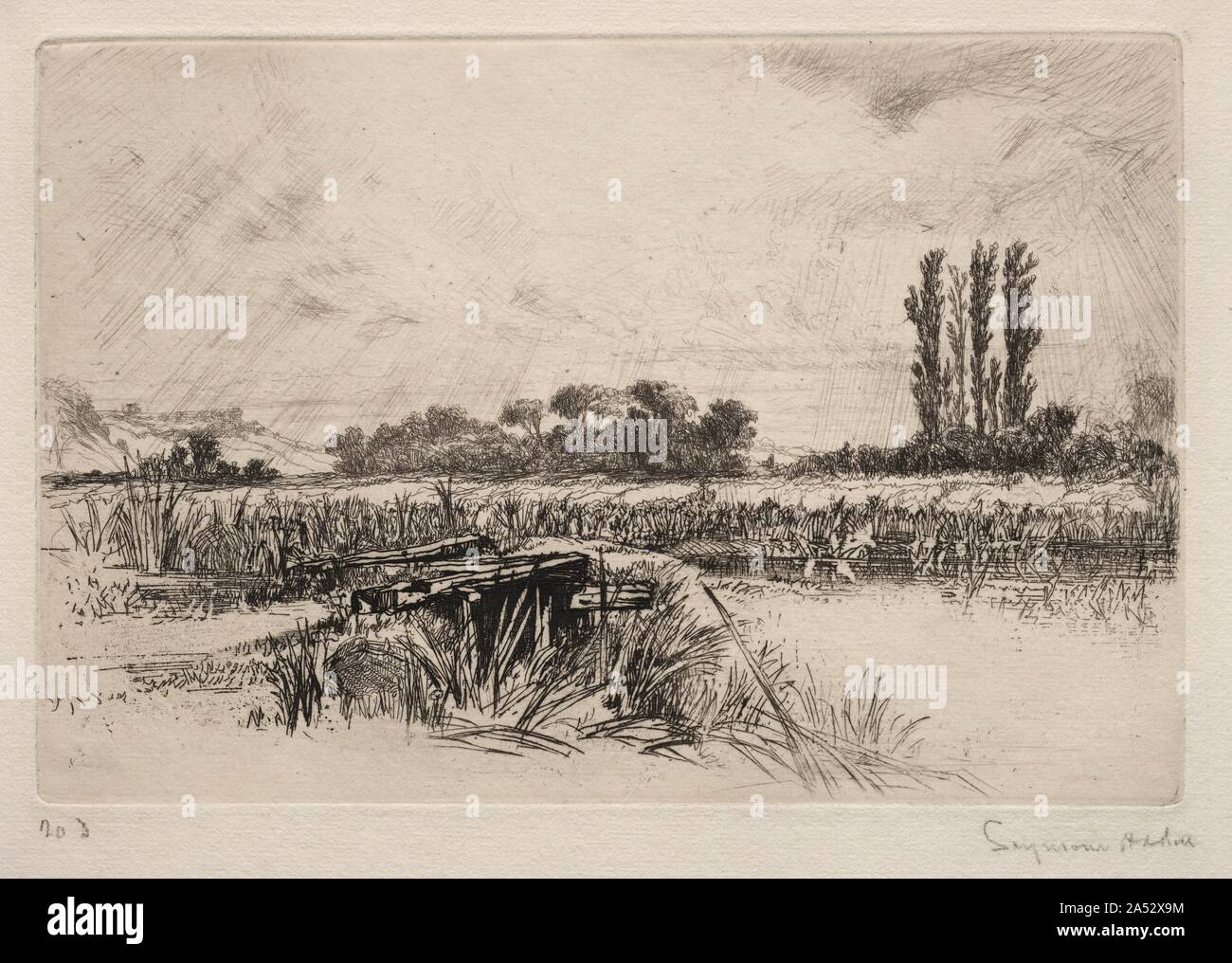 Water Meadow, 1859 Stock Photo - Alamy