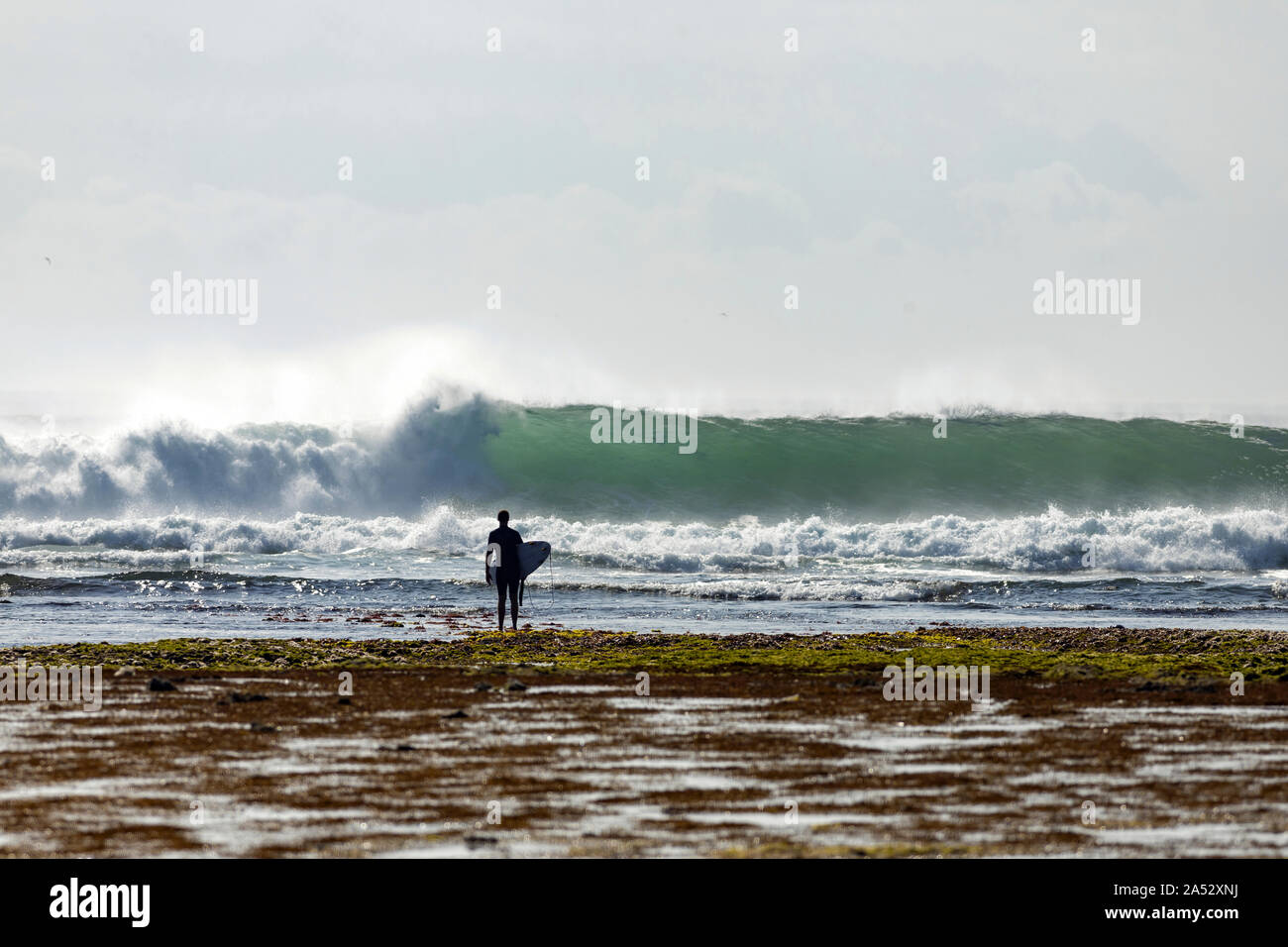 Surfer looking at wave Stock Photo - Alamy