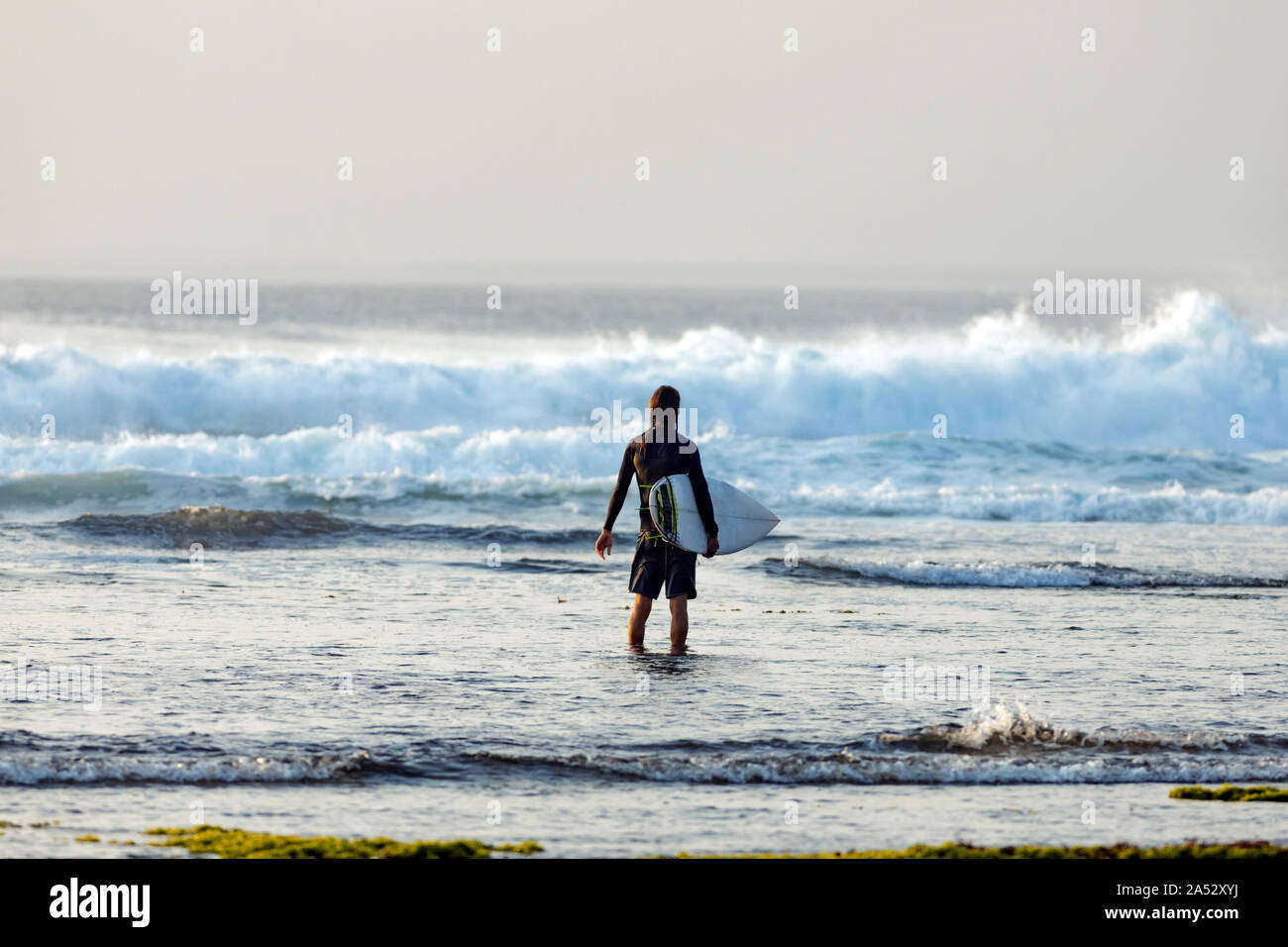 Surfer looking at wave Stock Photo - Alamy