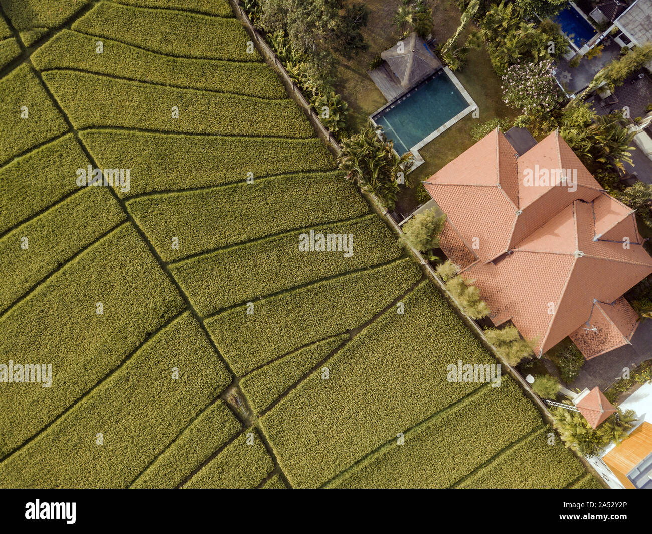 Aerial view of villa and pool in rice fields Stock Photo - Alamy