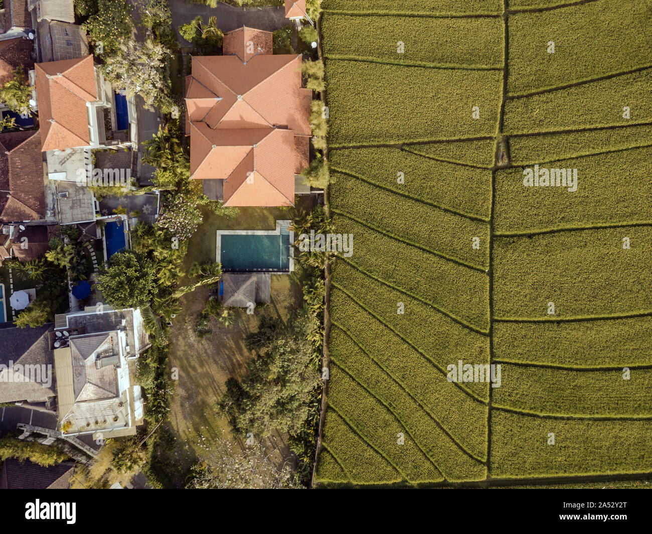 Aerial view of villa and pool in rice fields Stock Photo - Alamy