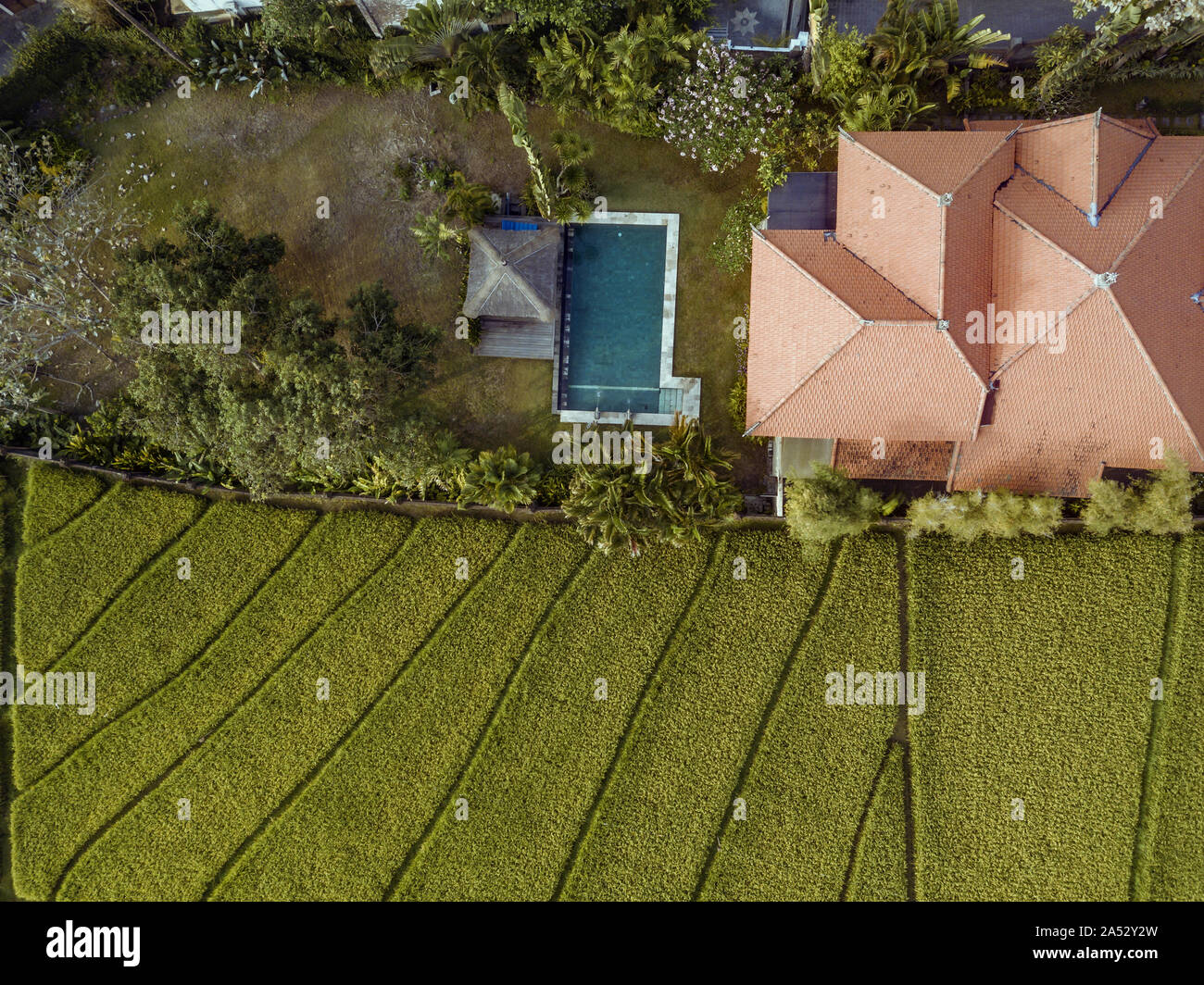 Aerial view of villa and pool in rice fields Stock Photo - Alamy