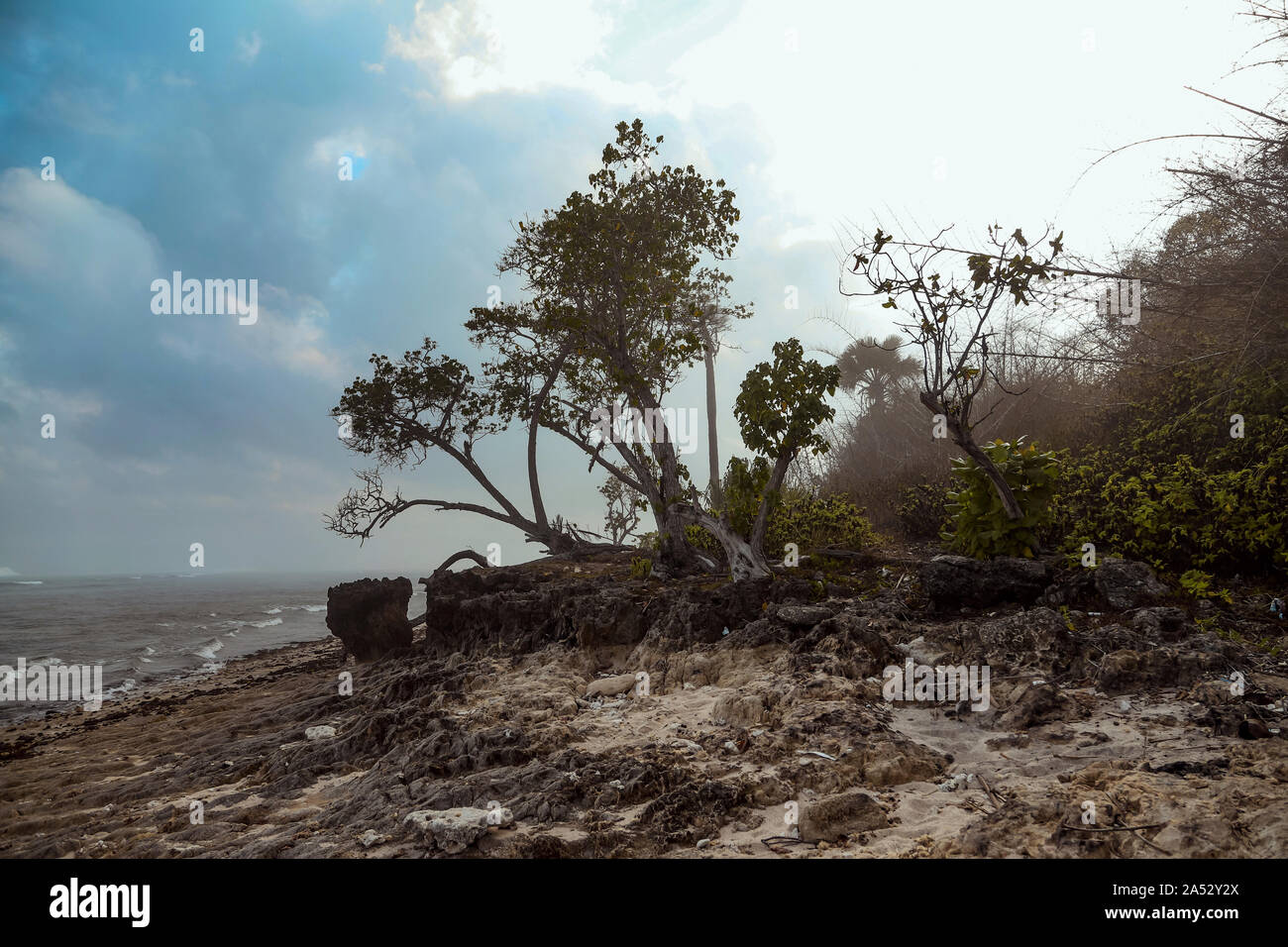 Java coast hi-res stock photography and images - Alamy