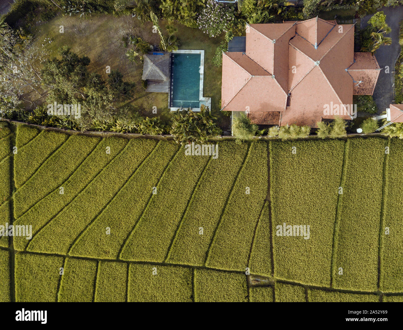 Aerial view of villa and pool in rice fields Stock Photo - Alamy