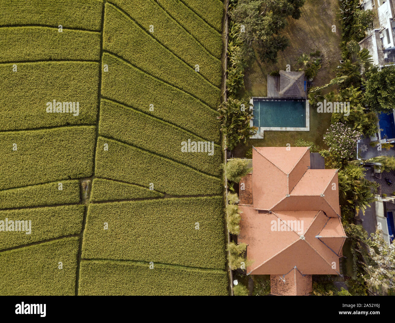 Aerial view of villa and pool in rice fields Stock Photo - Alamy