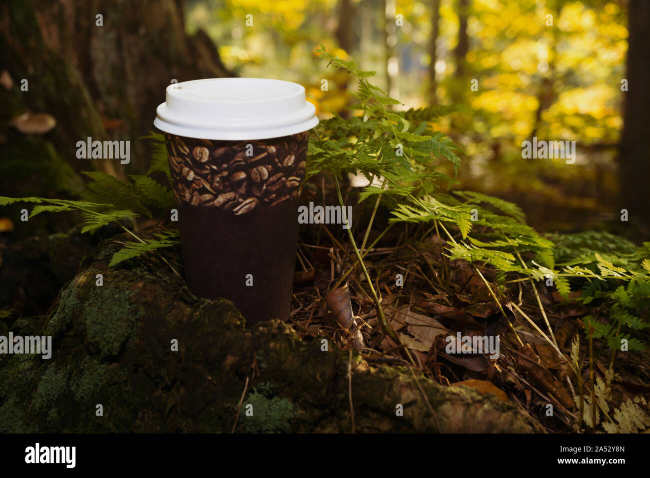 Plastic cup of coffee staying on the stump in the forest. Flare, autumn ...