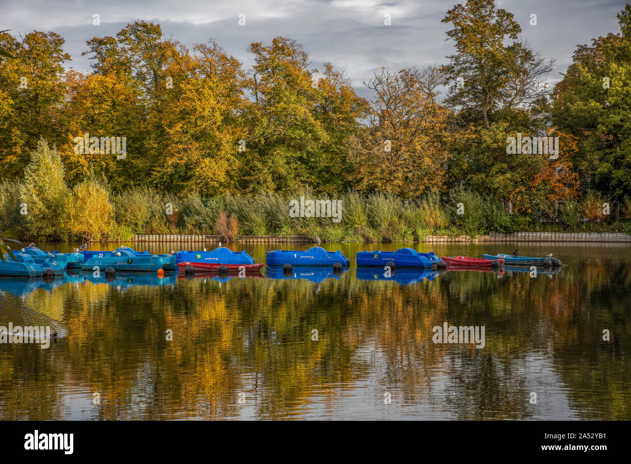 London water reflections trees hi-res stock photography and images - Alamy