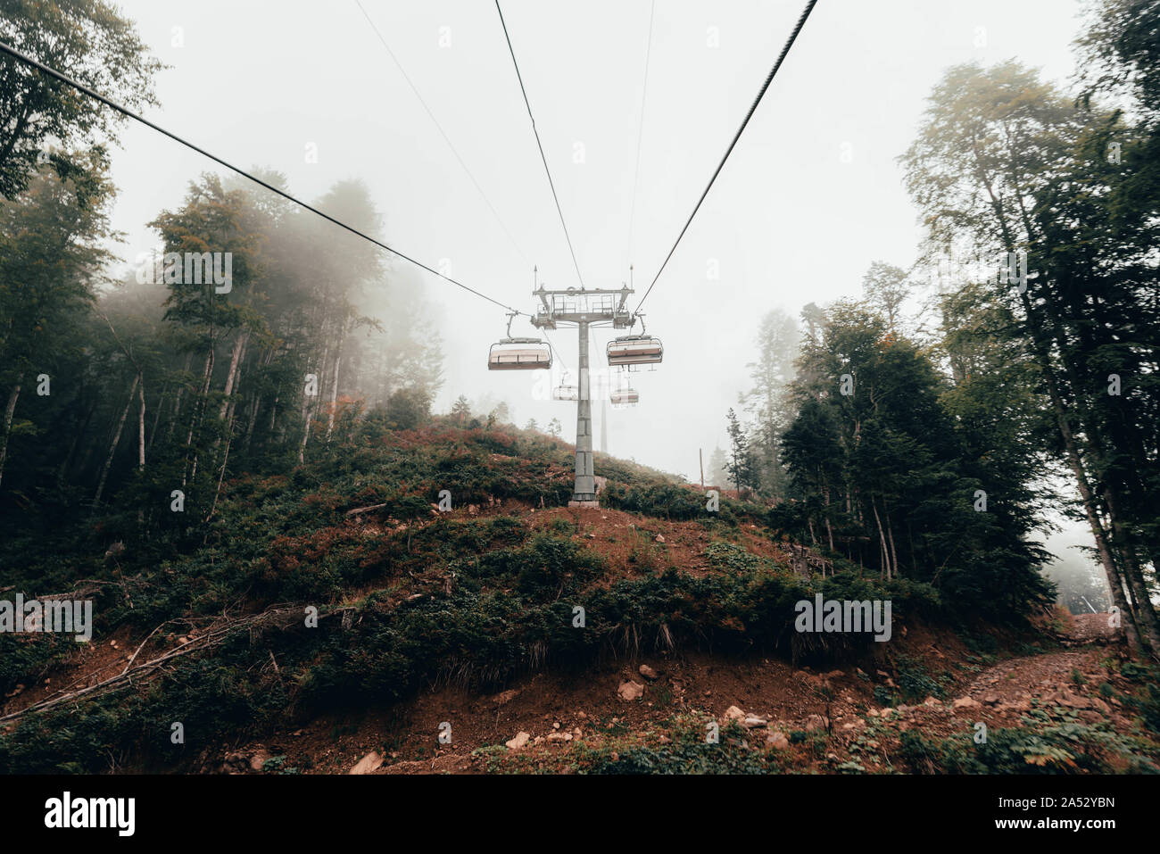 Electricity in the forest hi-res stock photography and images - Alamy