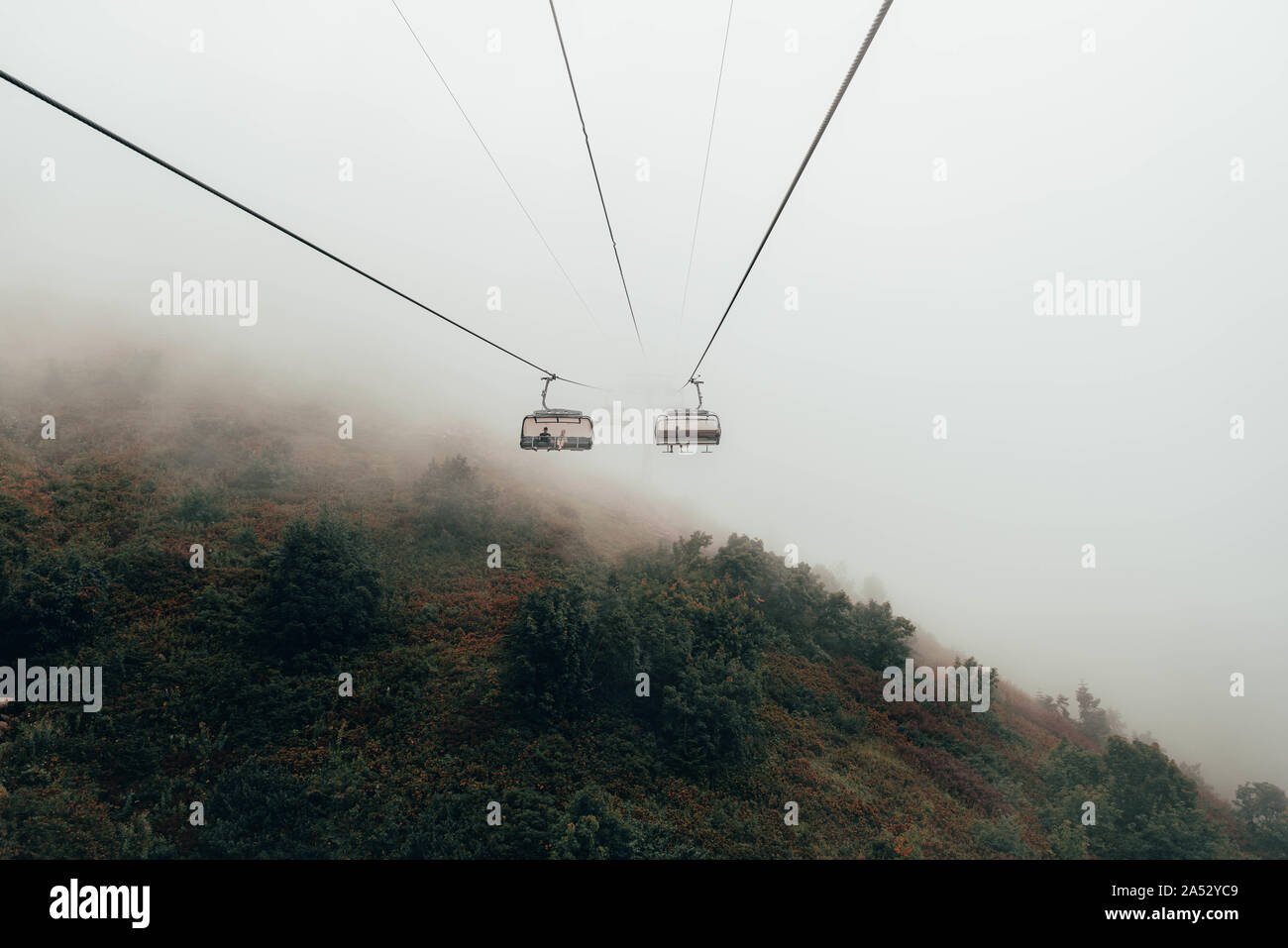 Cable car in the foggy forest Stock Photo - Alamy
