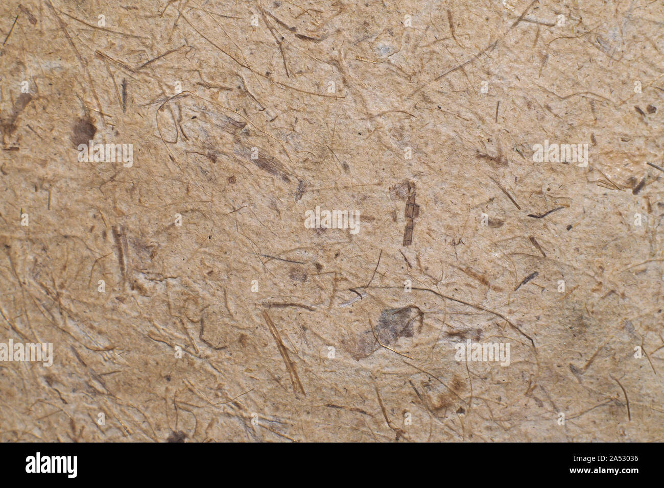 japanese brown craft paper product abstract texture with nature plant ...