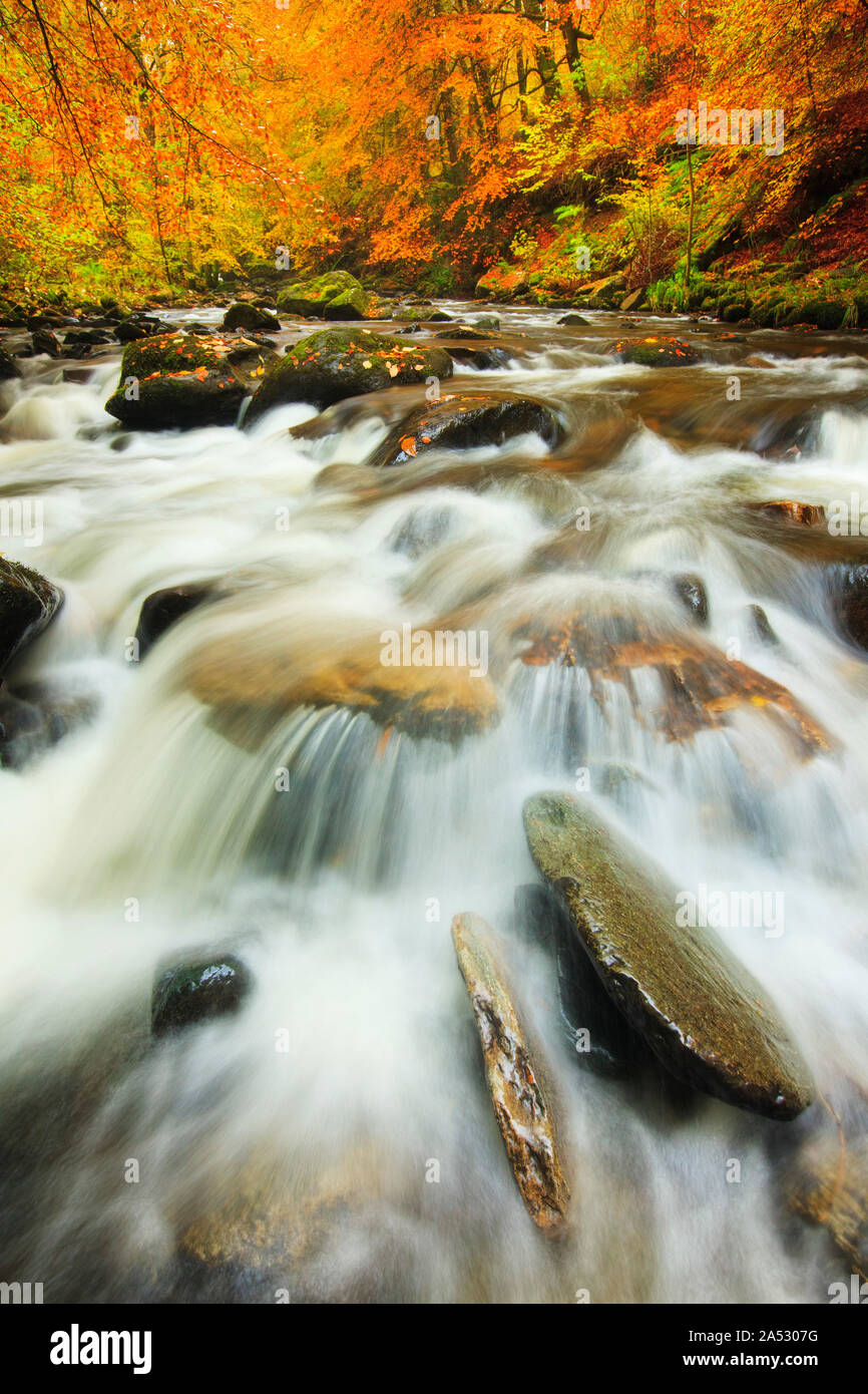 The Birks of Aberfeldy, Highlands Scotland Stock Photo - Alamy