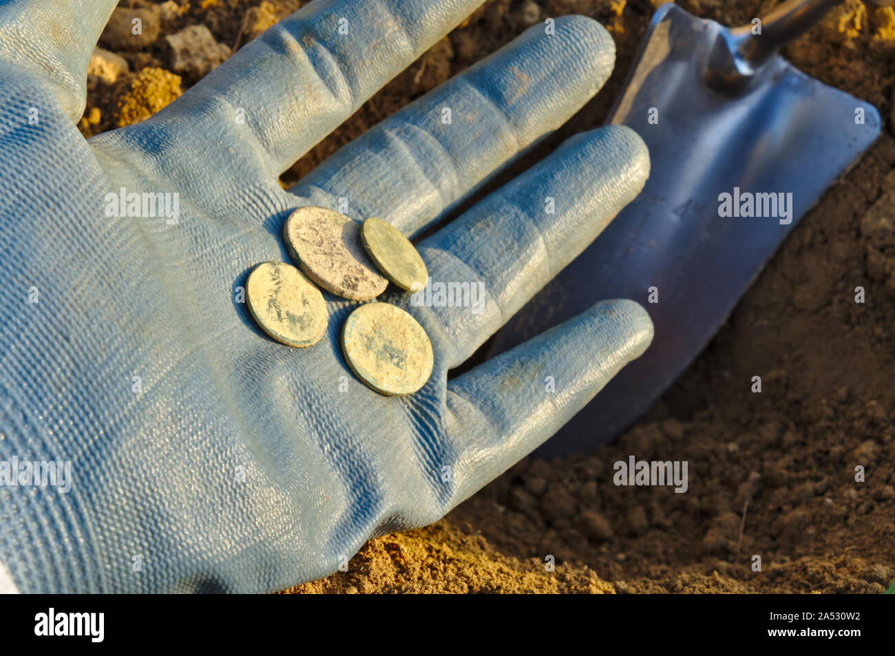 Metal Detecting: Digging while searching for coins with a metal ...