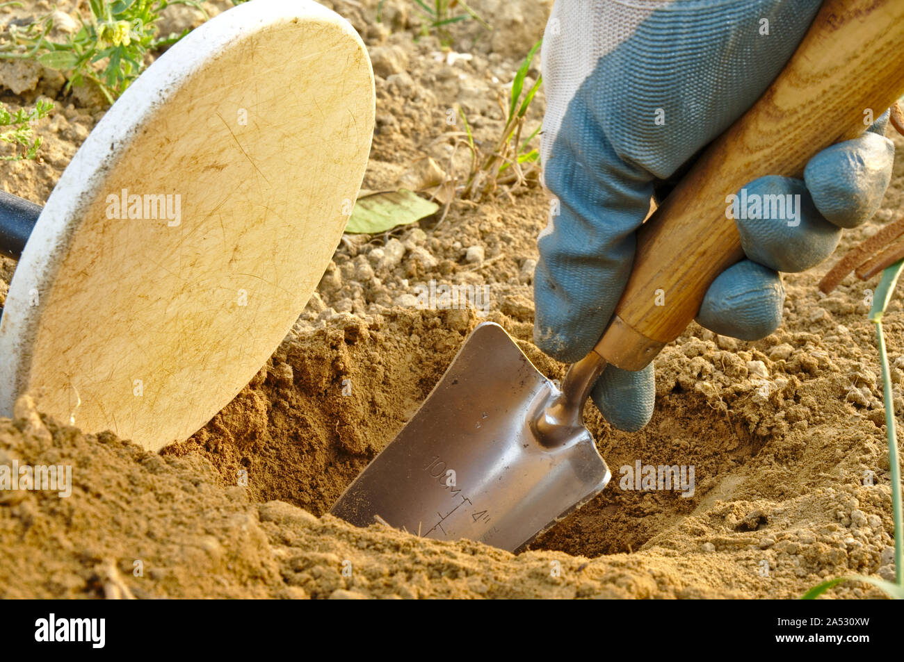 Metal detector archeology hi-res stock photography and images - Alamy