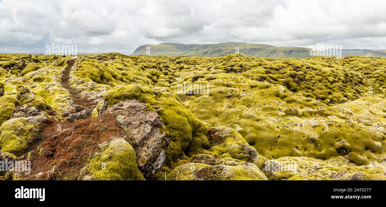 Iceland summer flora landscape hi-res stock photography and images - Alamy