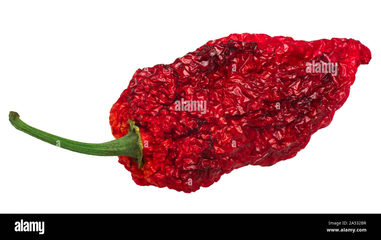 Dried Fatalii pepper (Capsicum chinense fruit), whole pod, isolated ...