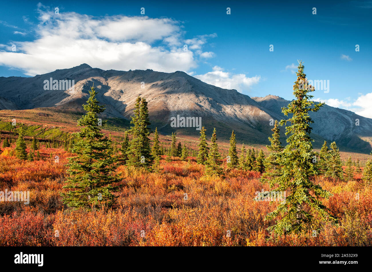 North America; United States; Alaska; Alaska Range Mountains; Denali ...
