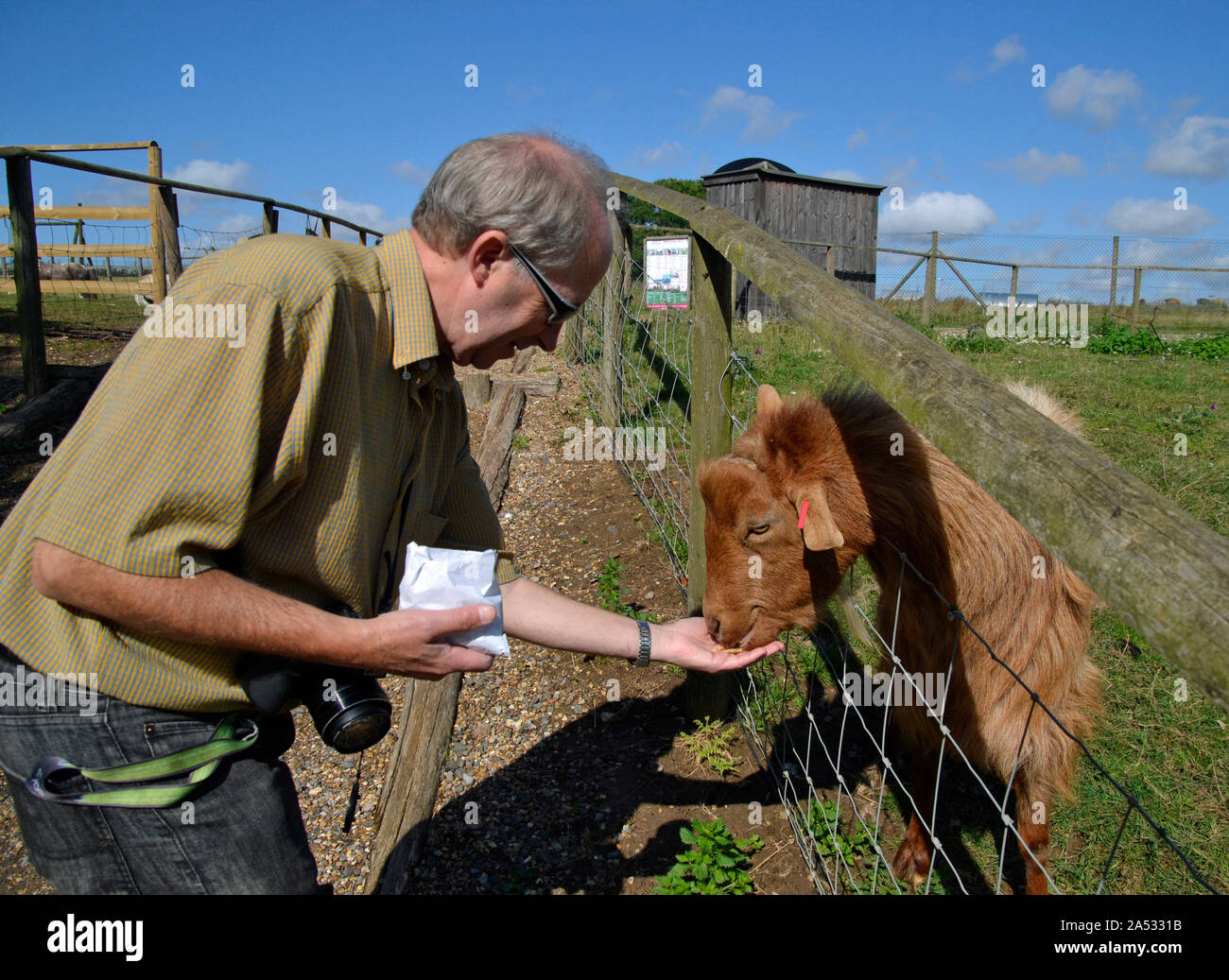 Goat hall hi-res stock photography and images - Alamy