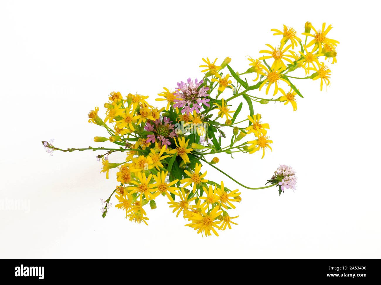 Beautiful yellow flowers arrangement isolated on white background. View ...