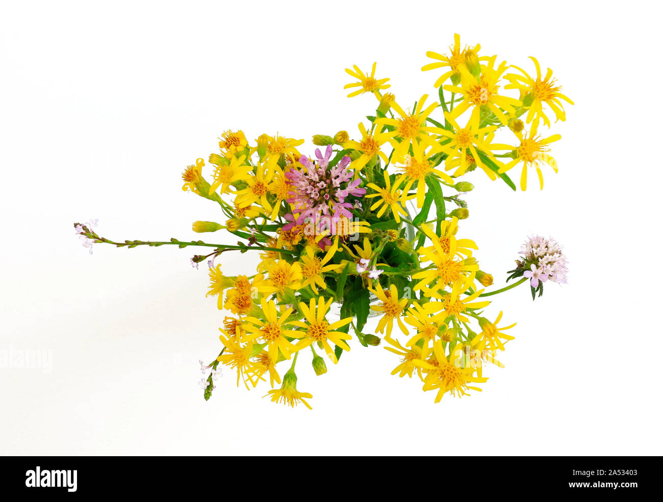 Beautiful yellow flowers arrangement isolated on white background. View ...