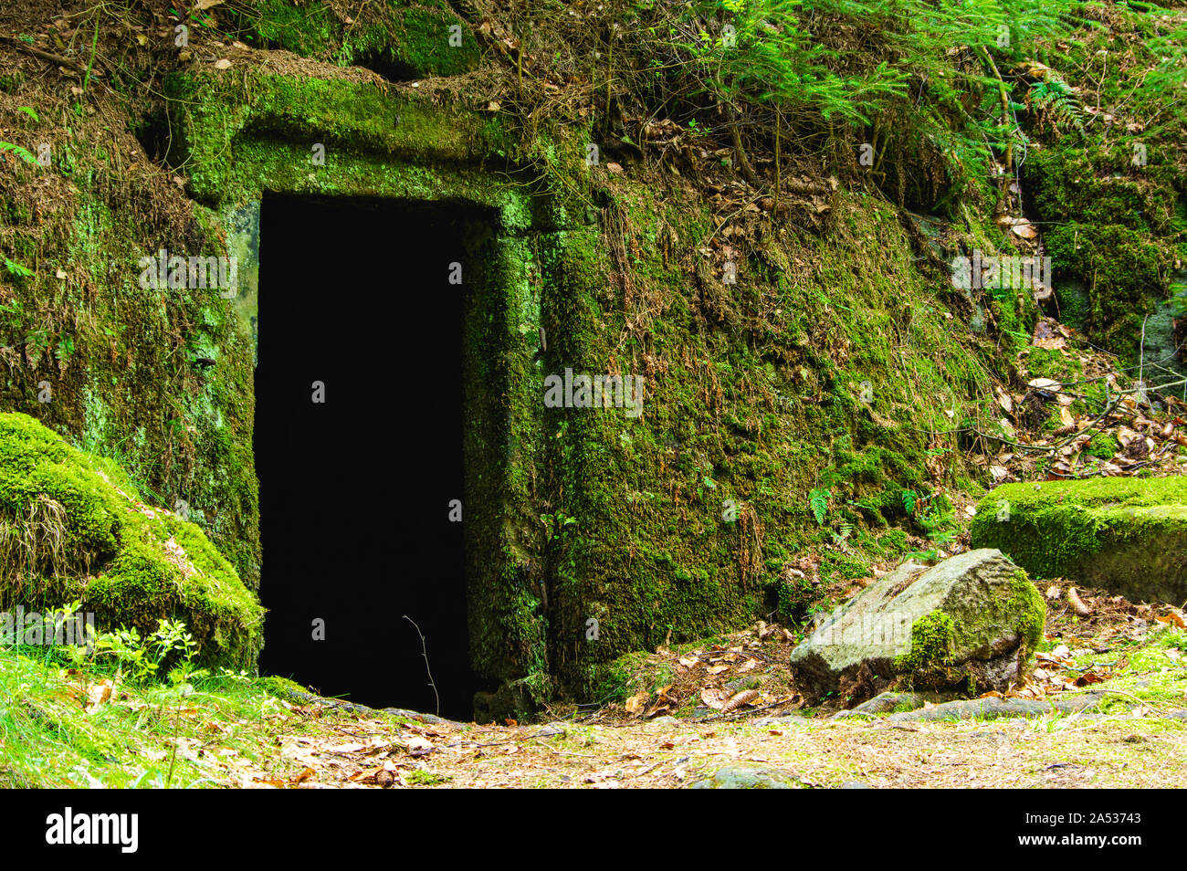 Tunnel entrance overgrown hi-res stock photography and images - Alamy