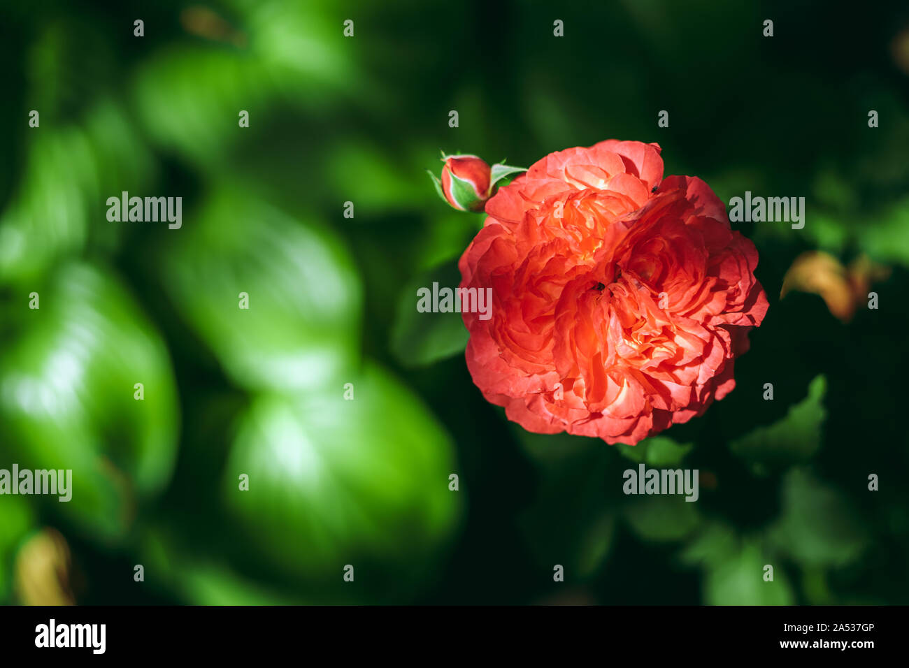 Interior Of A Salt Mine High Resolution Stock Photography and Images ...