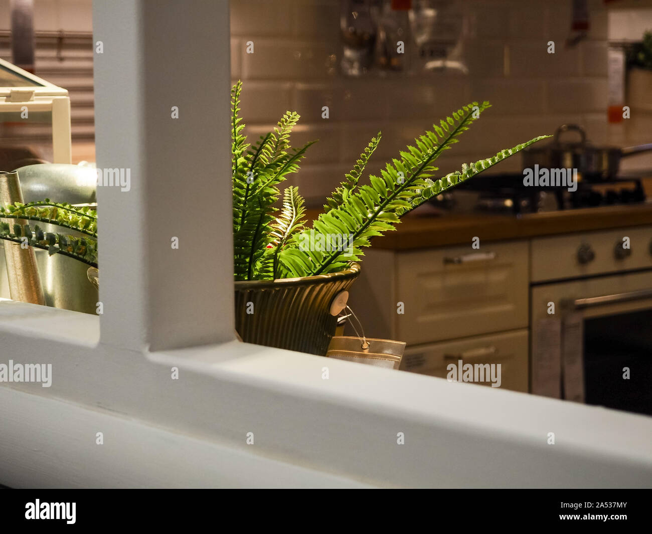 plant on the window view of the house Stock Photo - Alamy