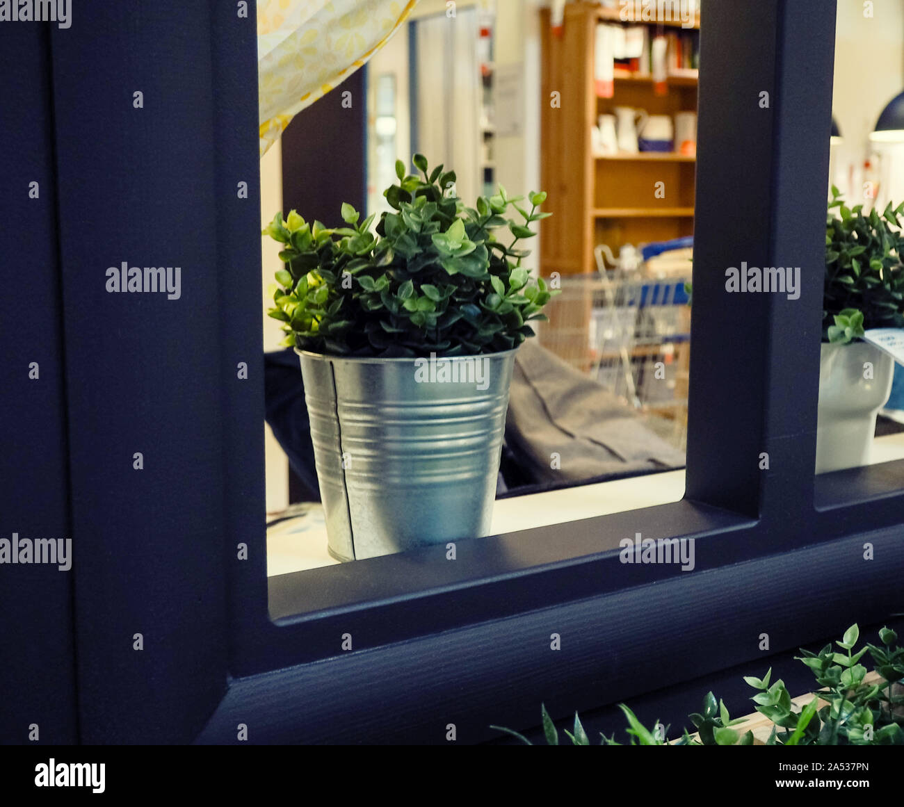 plant on the window view of the house Stock Photo - Alamy