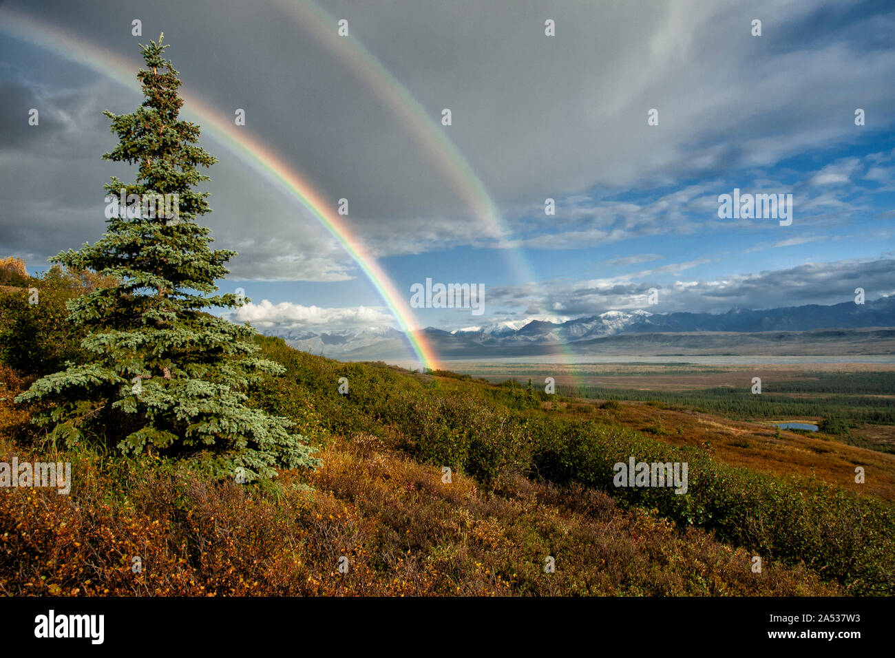 North America; United States; Alaska; Alaska Range Mountains; Denali ...
