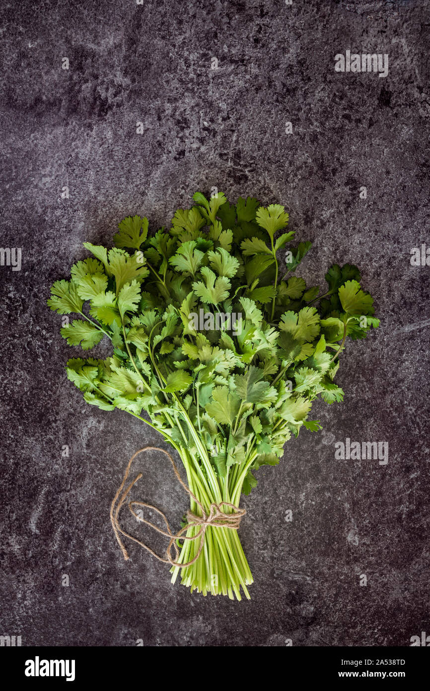 Dark background seasoning hi-res stock photography and images - Alamy
