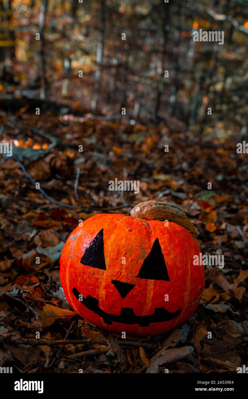 Halloween Pumpkin in the Forest. Scary pumpkin decorations with creepy ...