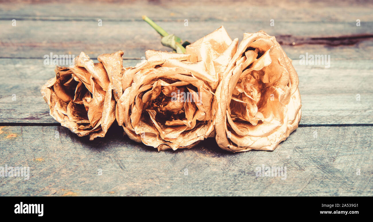natural beauty. Gold rose. wealth and richness. floristics business ...
