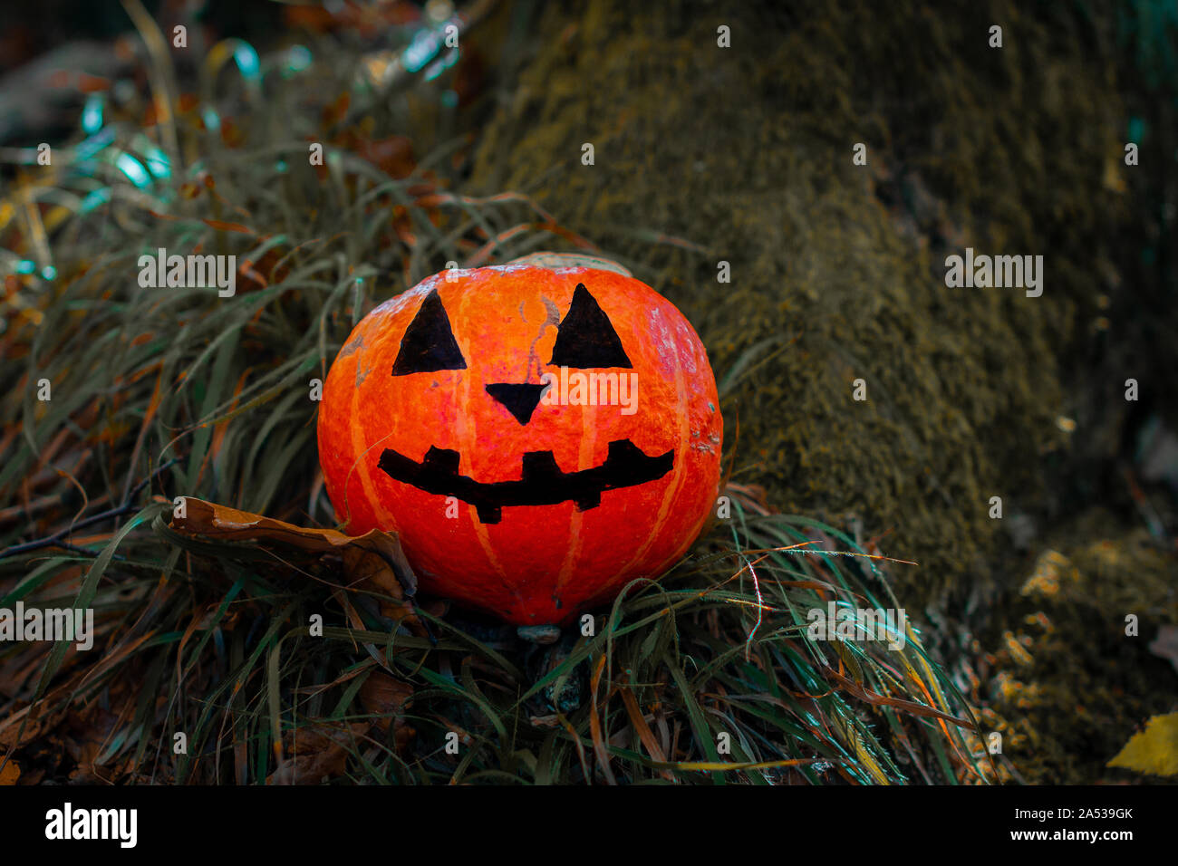 Halloween Pumpkin in the Forest. Scary pumpkin decorations with creepy ...