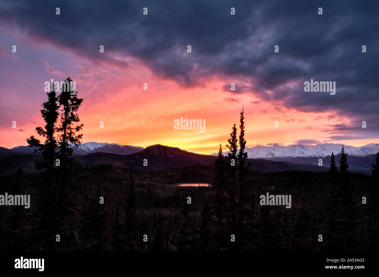 North America; United States; Alaska; Denali National Park; Alaska ...