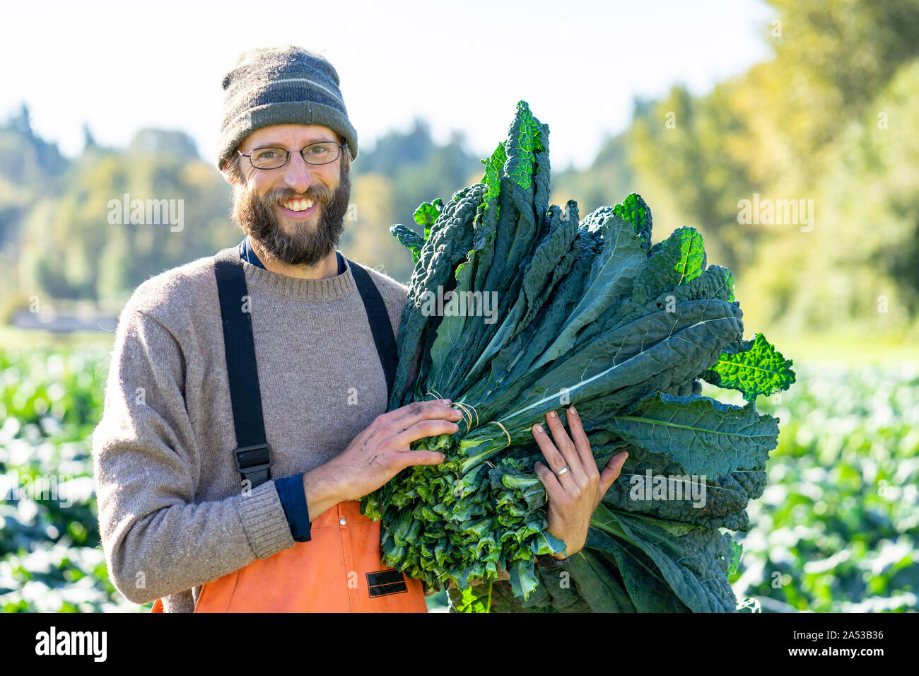 Huge vegetables hi-res stock photography and images - Alamy