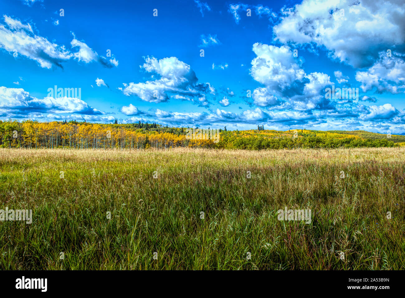 Happy colors of the country hi-res stock photography and images - Alamy