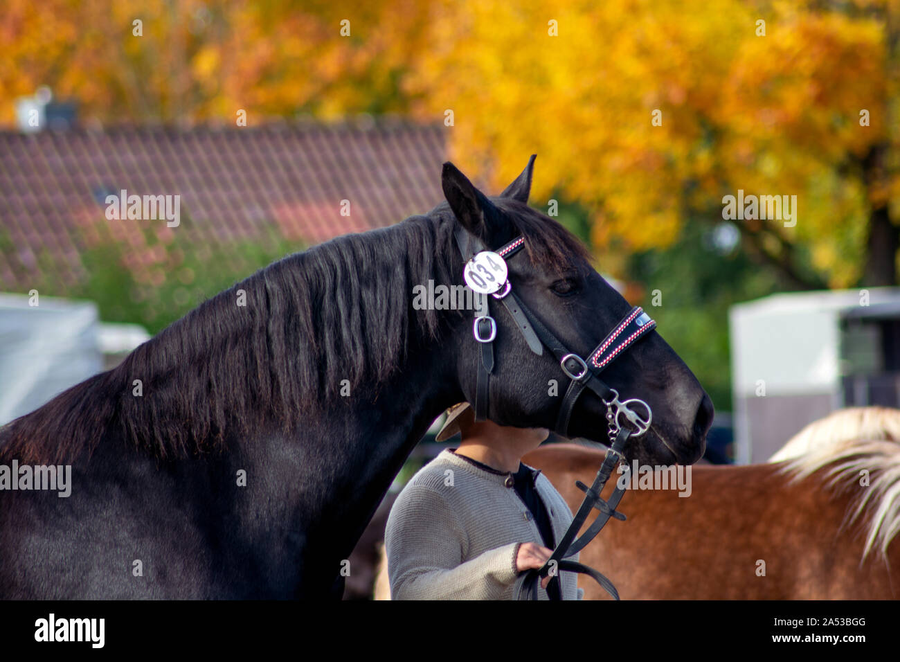 Cold blood hi-res stock photography and images - Alamy