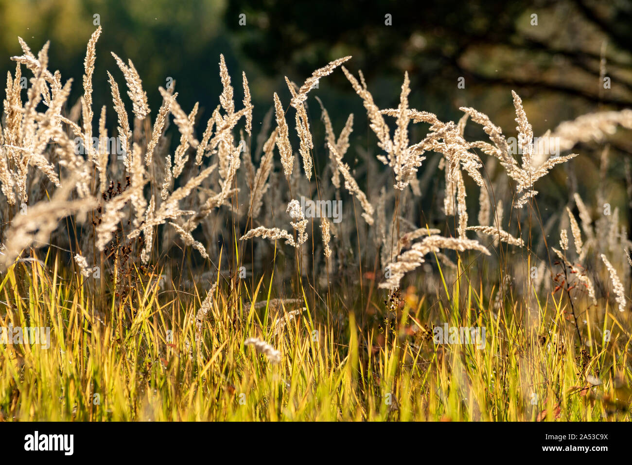 Illuminated blades hi-res stock photography and images - Alamy