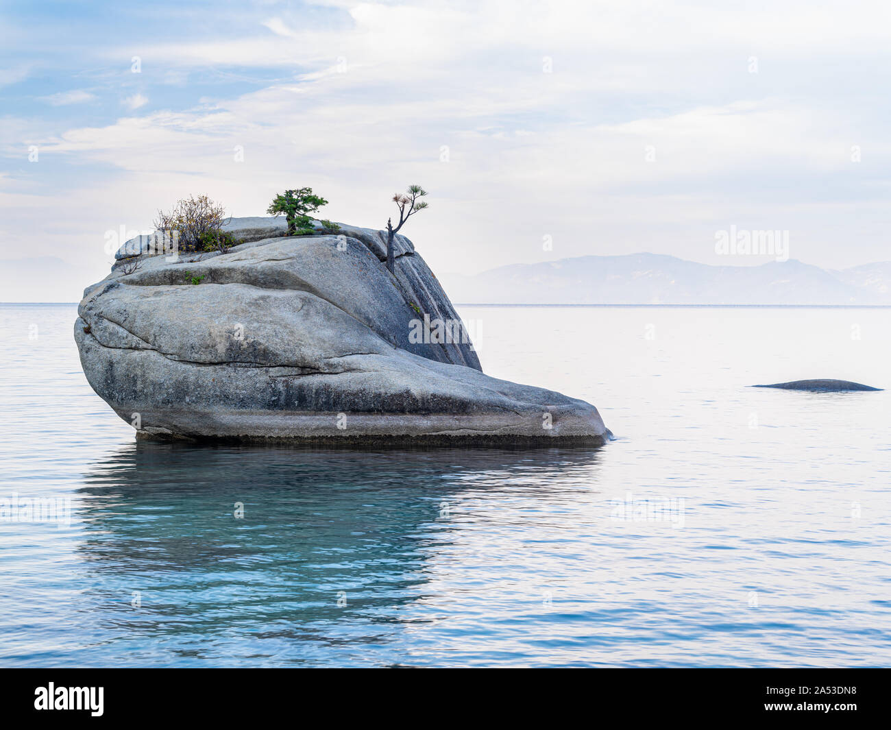 Bonsai lake tahoe hi-res stock photography and images - Alamy