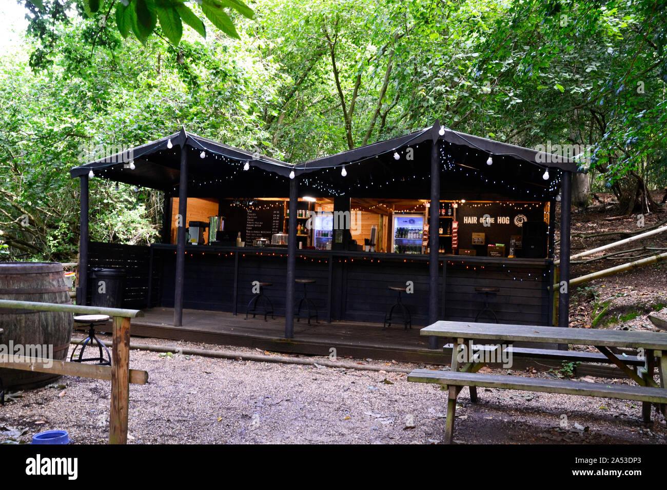 Woodland park zoo hi-res stock photography and images - Alamy