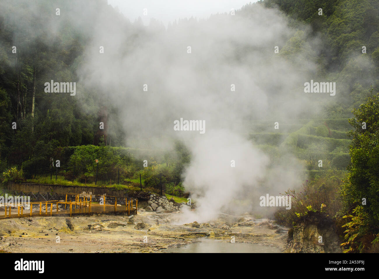 Geothermal activity in Furnas village, Sao Miguel, Azores, Portugal ...