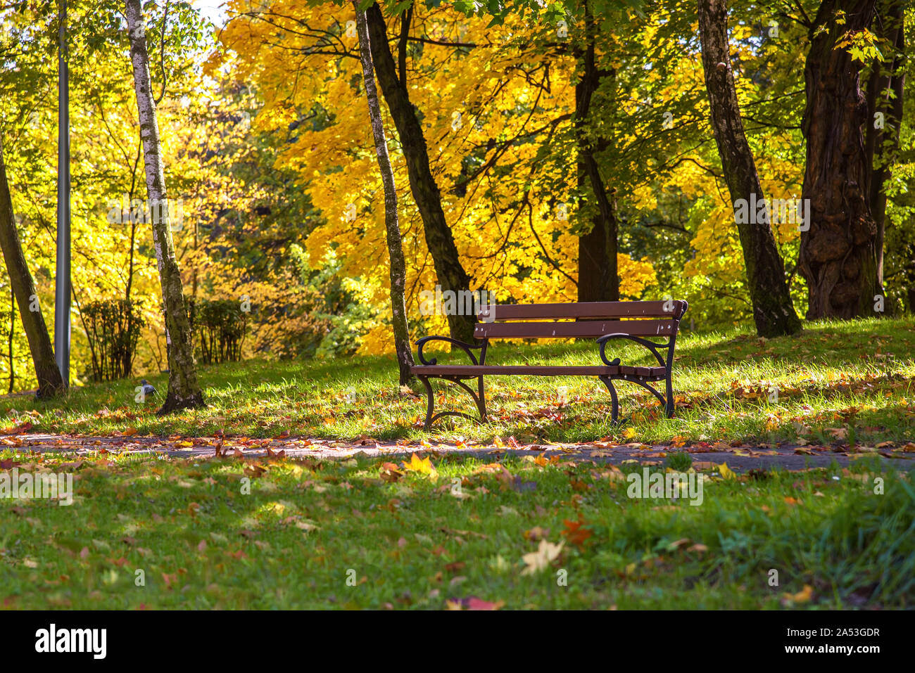 Bench in a park at colorful sunny autumn Stock Photo - Alamy