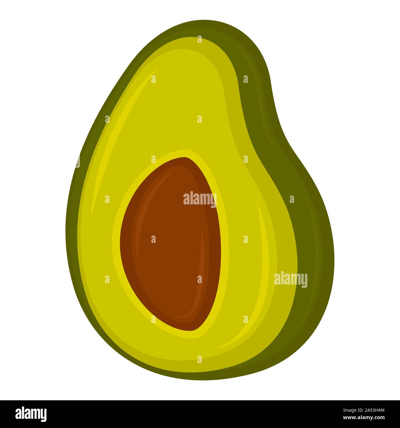 Isolated avocado cut on a white background - Vector Stock Vector Image ...
